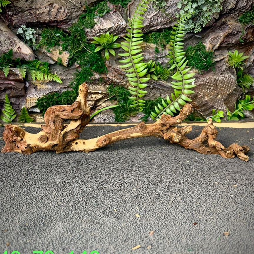 Коралловое дерево/Coral Wood кд1166