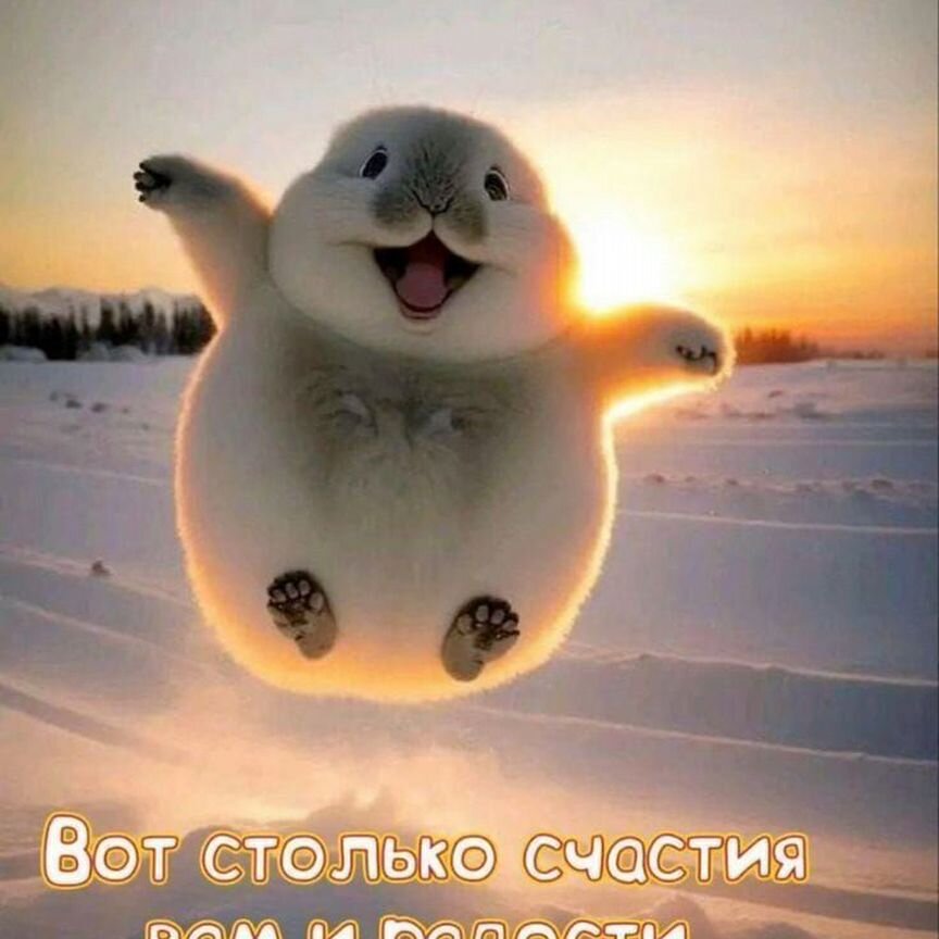 Ищи кошечку