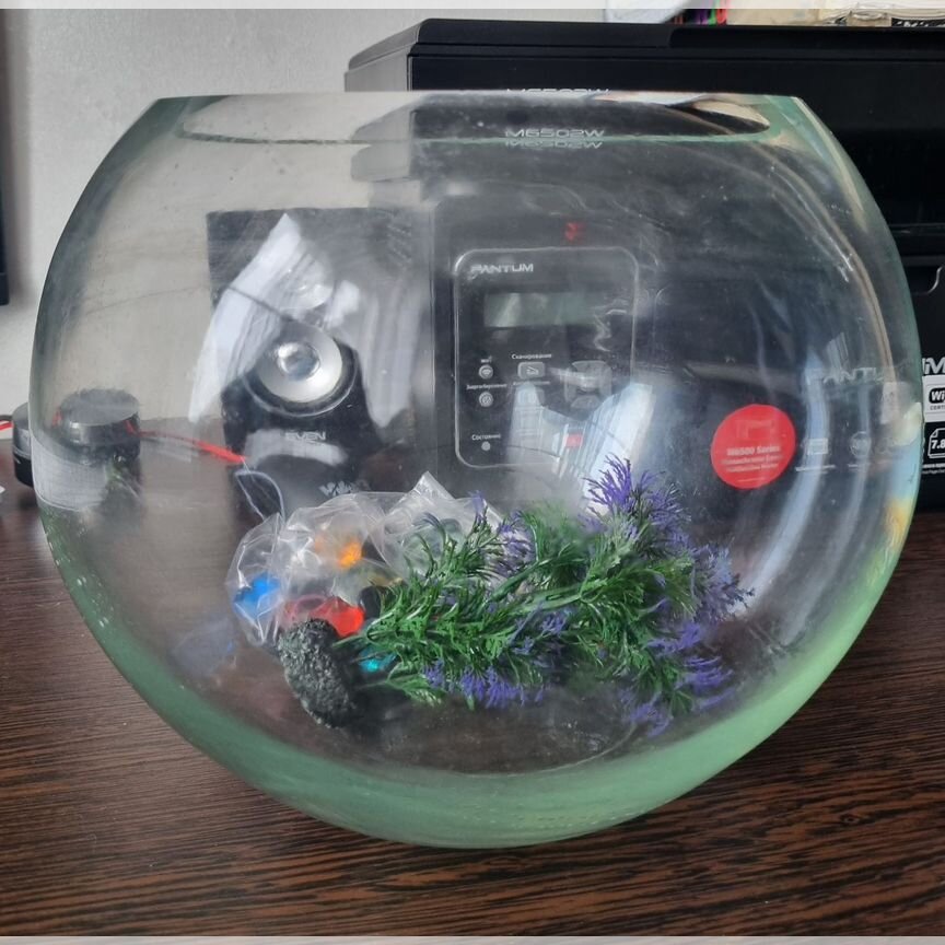 Аквариум для рыб