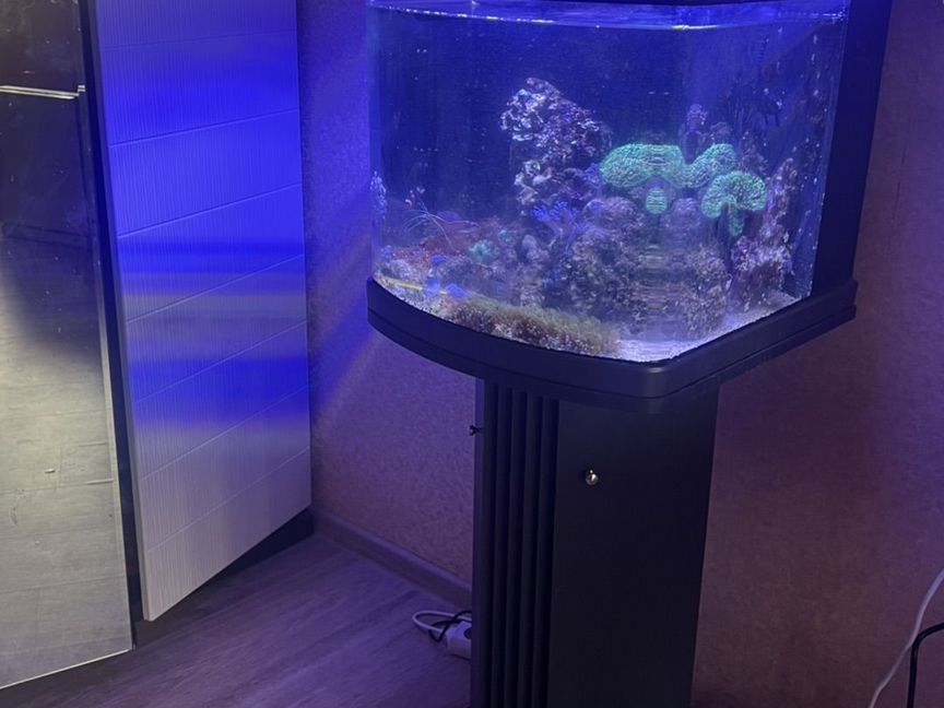 Морской аквариум 60л