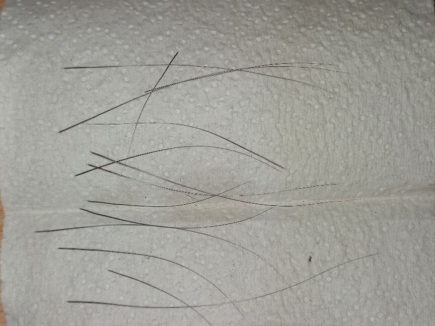 Кошачьи усы