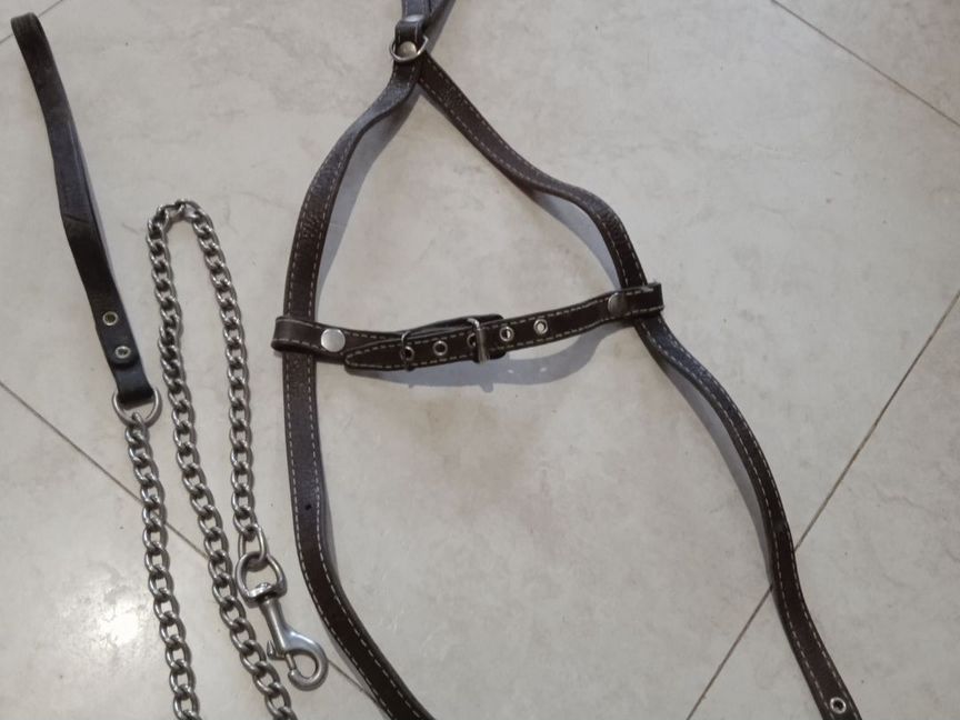 Шлейка для собаки объем 90х80