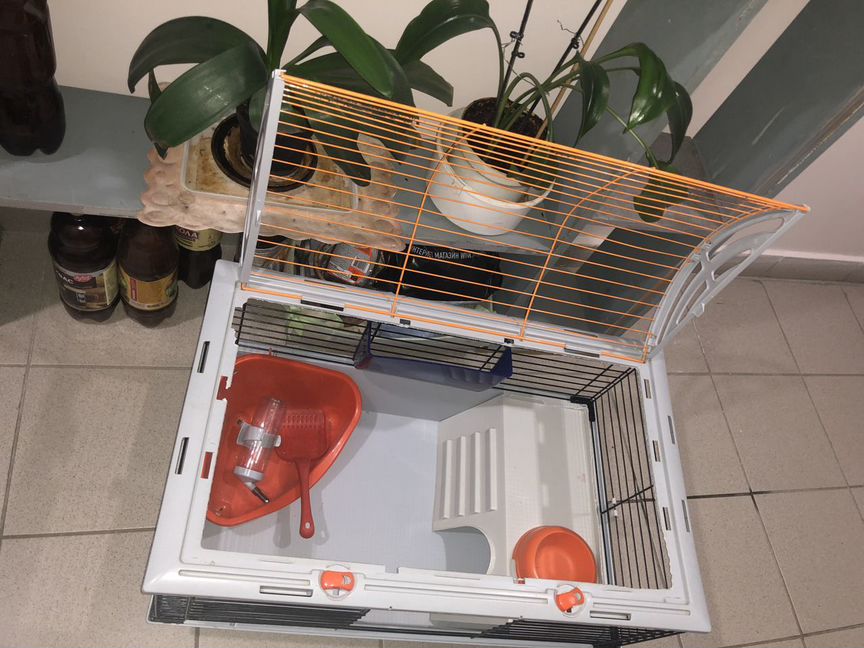 Клетка для кролика морской свинки ежа