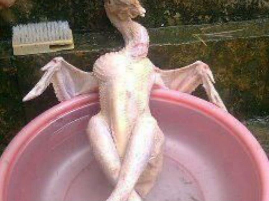 Мясо уток и гусей