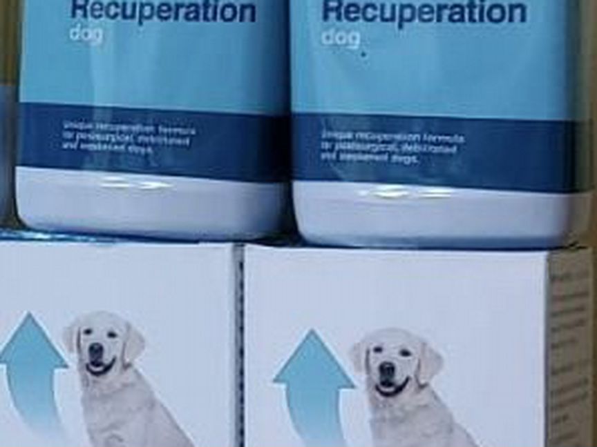 Пребиотик Viyo Recuperation для собак