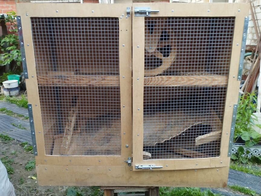 Клетка для дегу