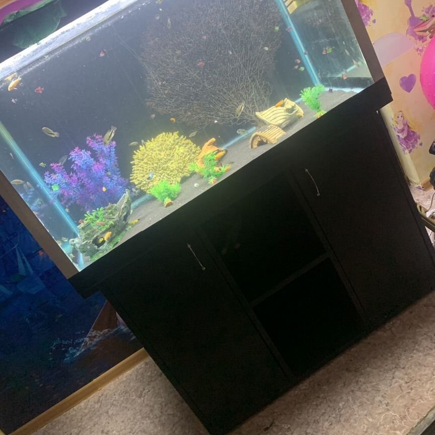 Аквариум 500