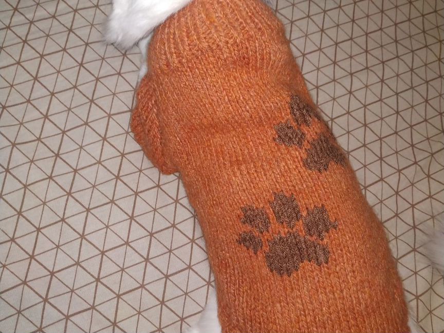 Костюмчик свитер для собак и кошек