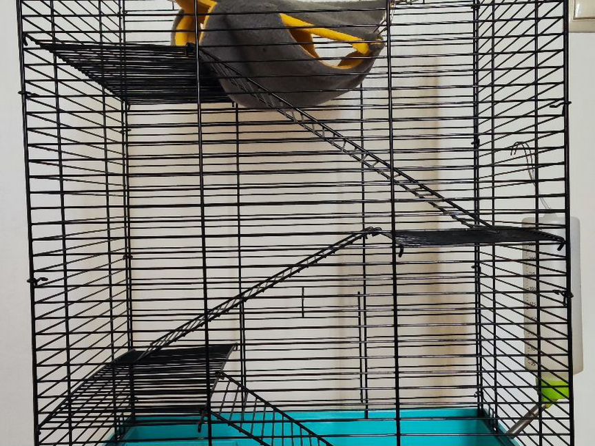 Клетка для грызунов бу