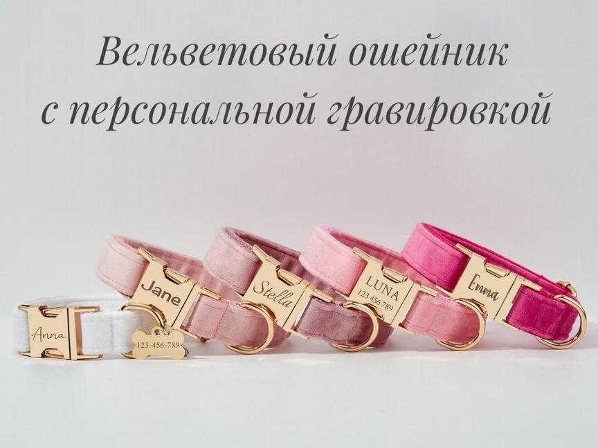 Вельветовый ошейник с персональной гравировкой
