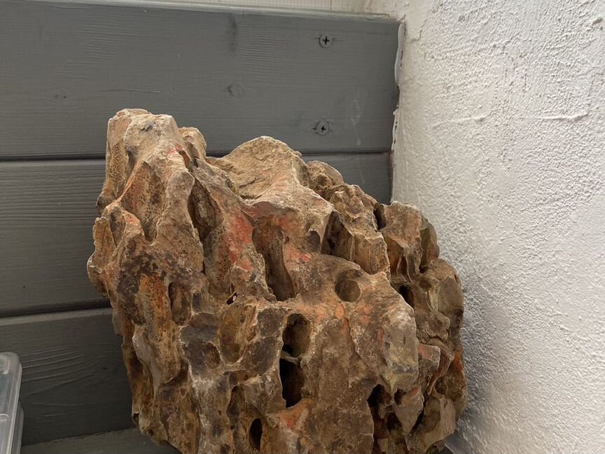 Драконий камень в аквариум