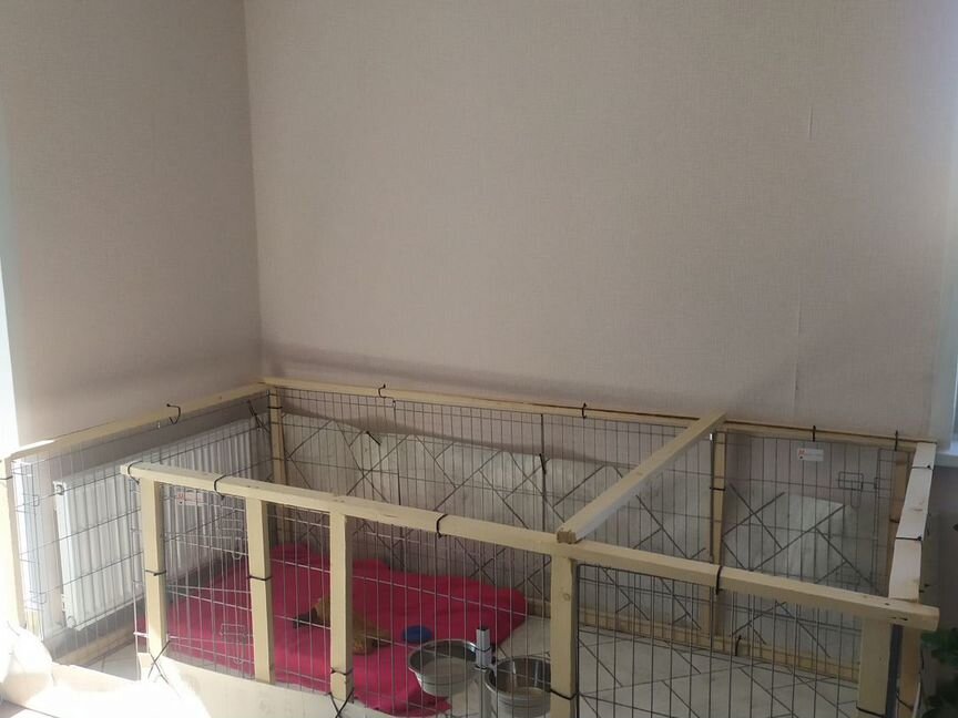 Вольер для собак в квартиру бу