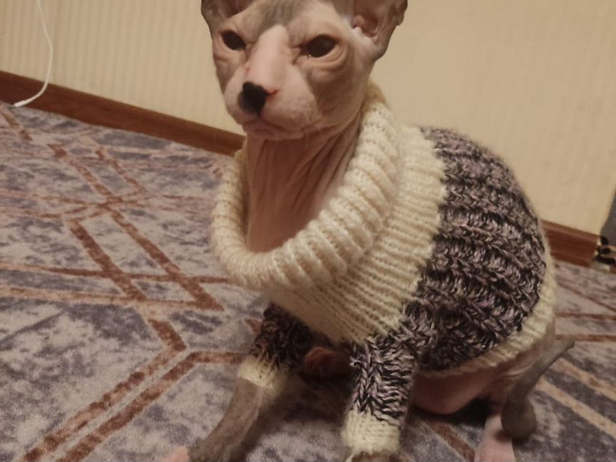 Сфинкс ищет свою любовь