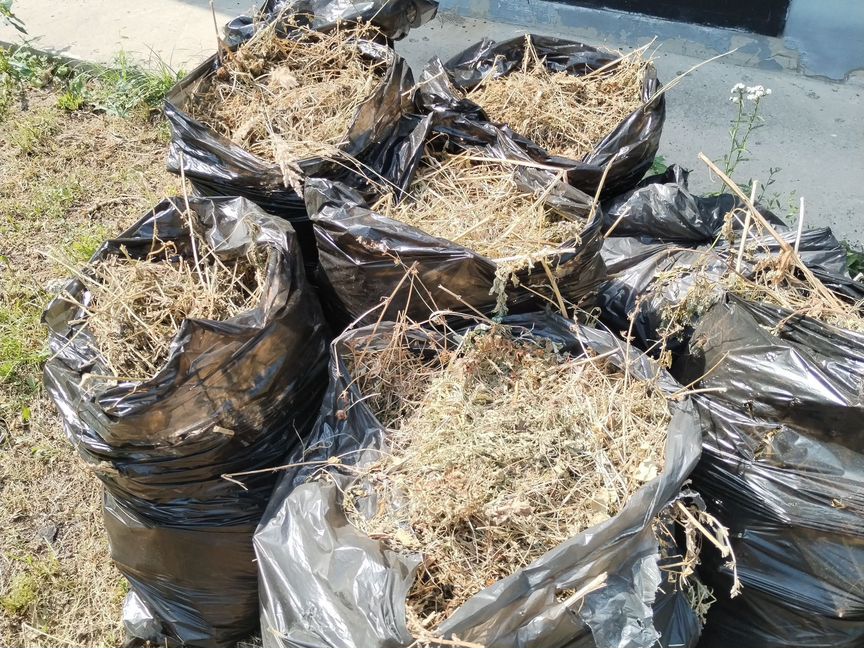 Сенокосная трава, сено