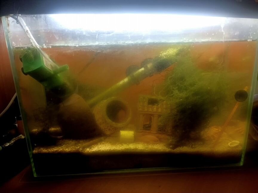 Аквариум 12 л