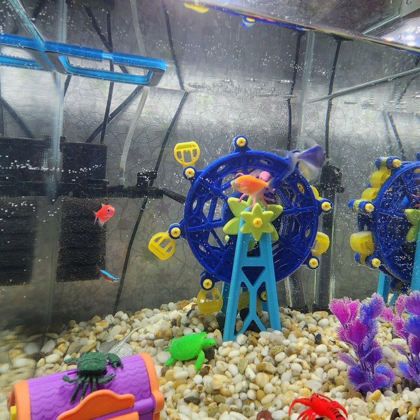 Бронь рыбки