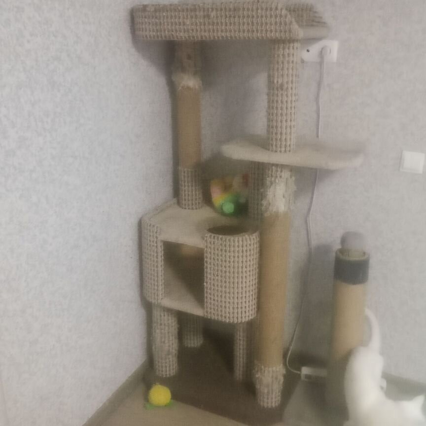 Когтеточка с домиком бу