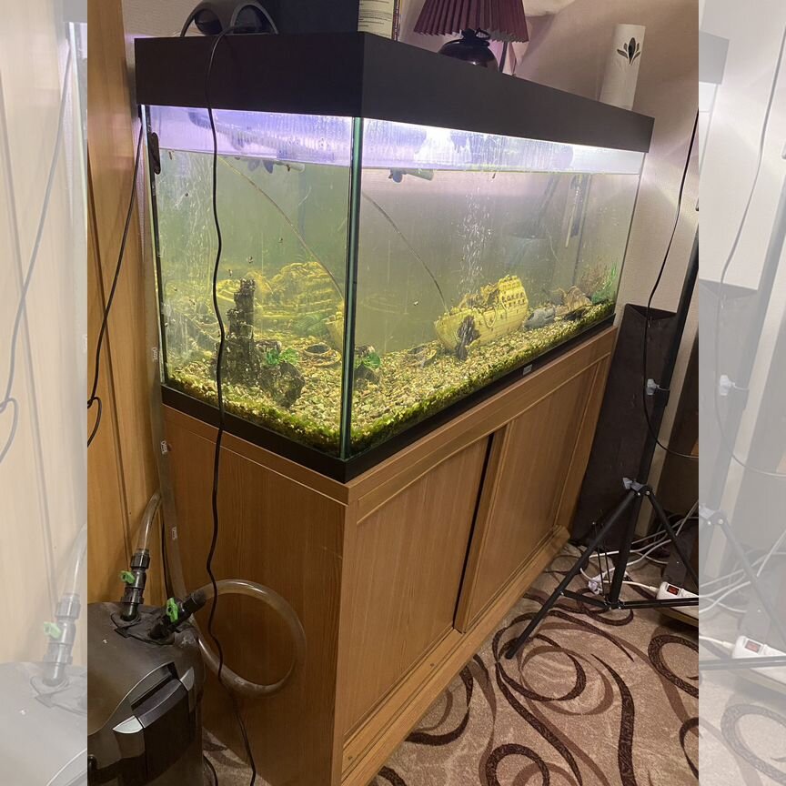 Аквариум с тубой, фильтром, сомами