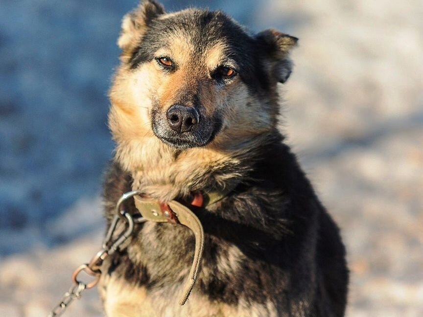 Найда в частный дом,три года