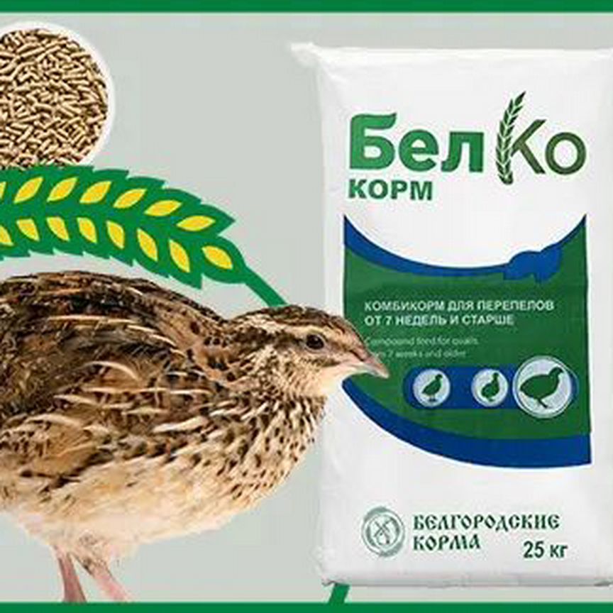 Комбикорм для перепелов