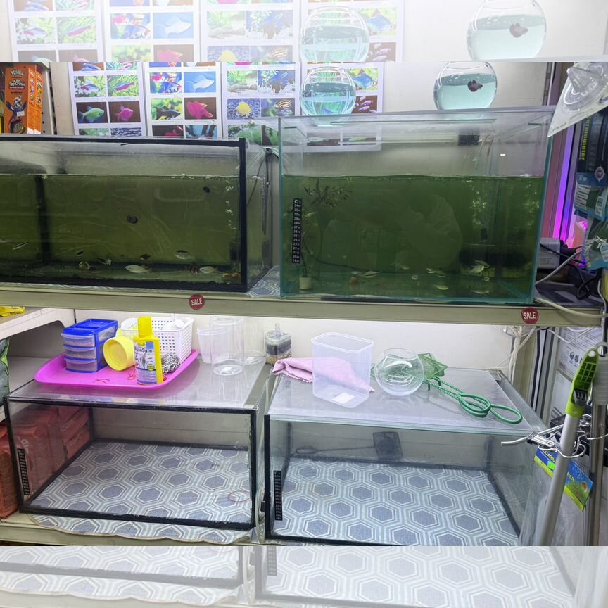 Аквариум 60 литров