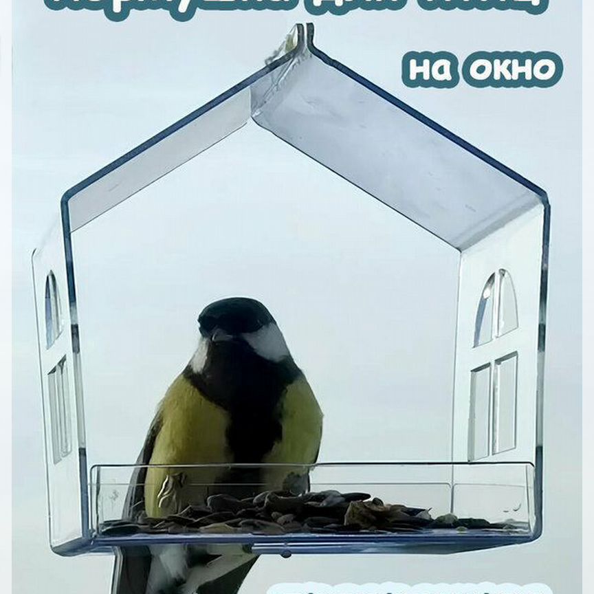 Кормушка для птиц на окно прозрачная