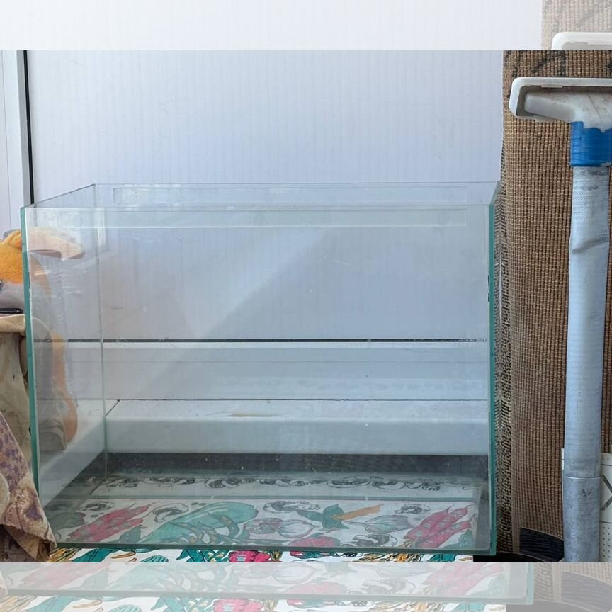 Аквариумные рыбки