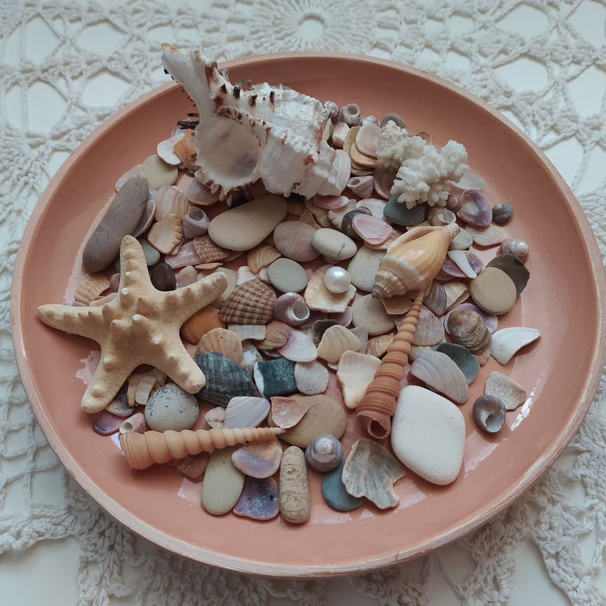 Морские ракушки