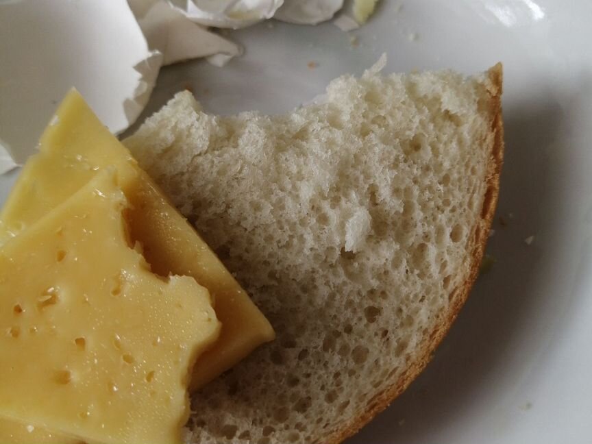 Пищевые отходы для животных