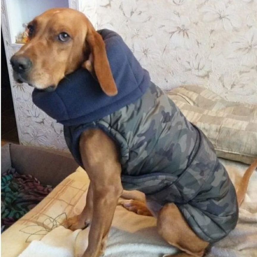 Теплая попона для собаки
