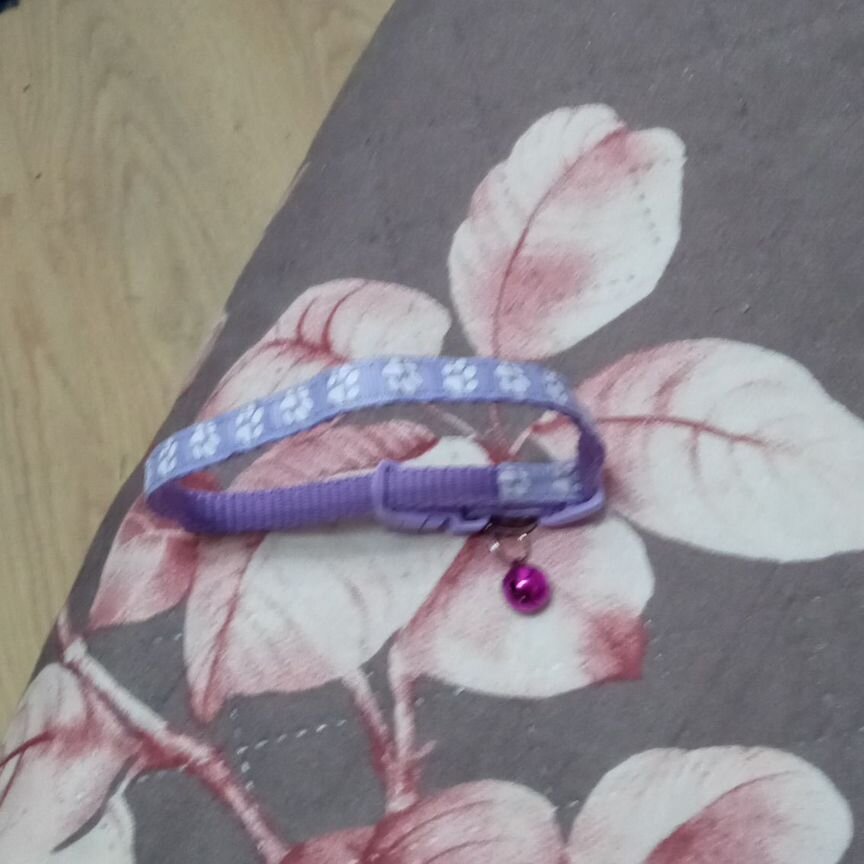 Ошейник для маленькой собаки или кошки