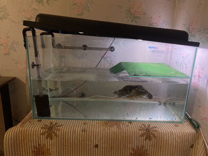 Аквариум для черепах