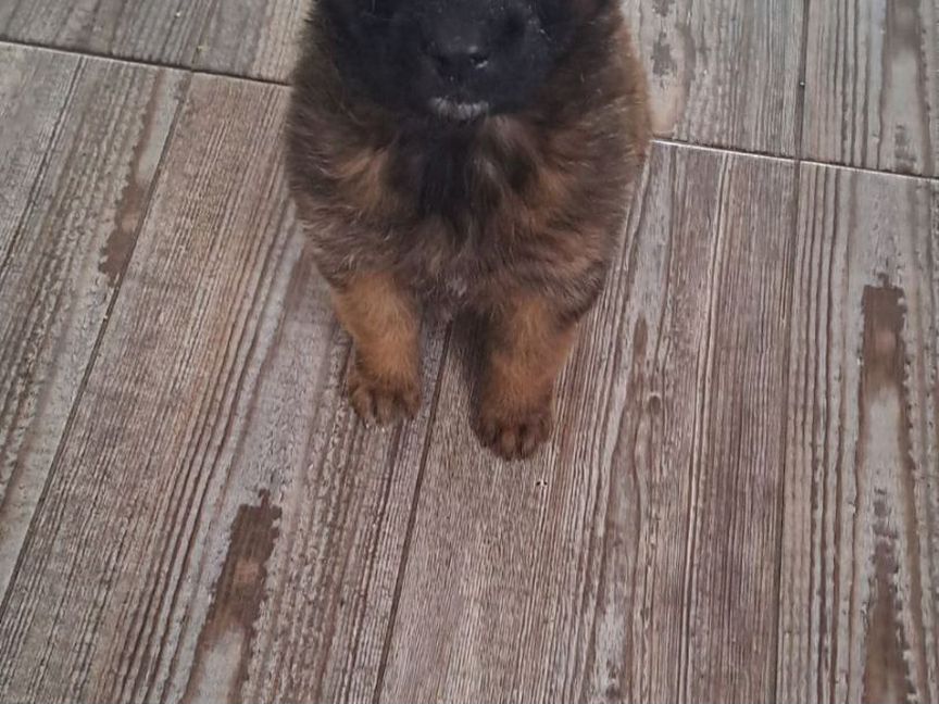 Изумительная девчушка 1 месяц