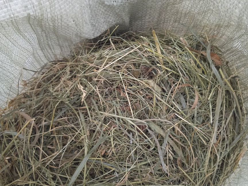 Сено в мешках