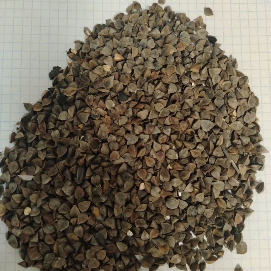 Гречка в мешках 50 кг