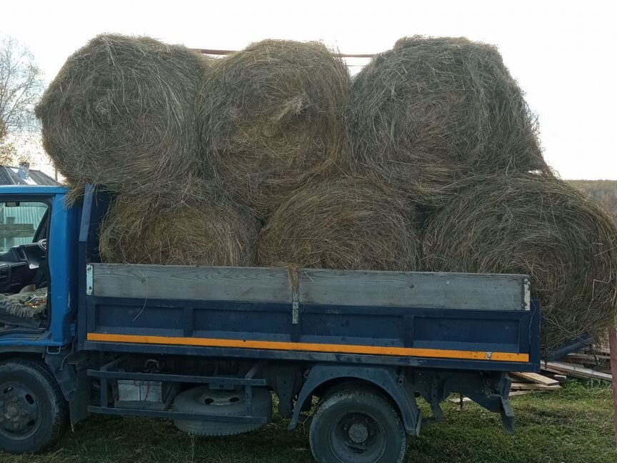 Сено в рулонах, возможен обмен