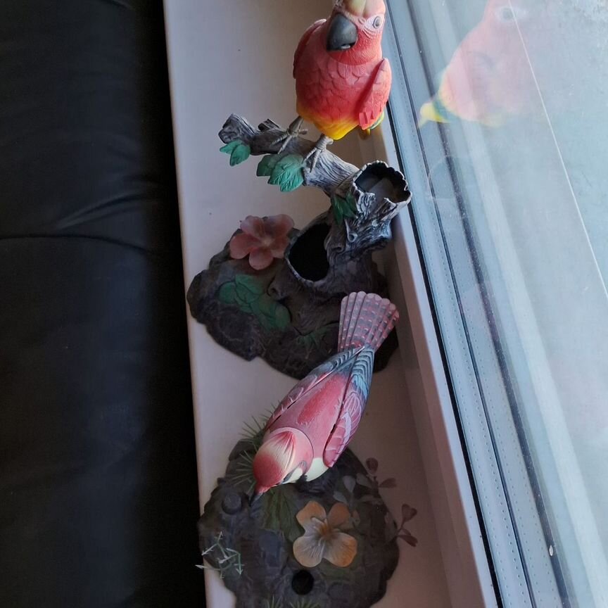 Попугай, птичка. Интерактивные