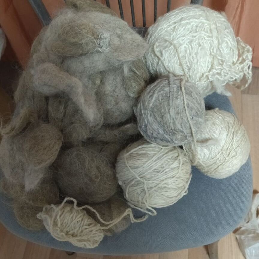 Шерсть собаки