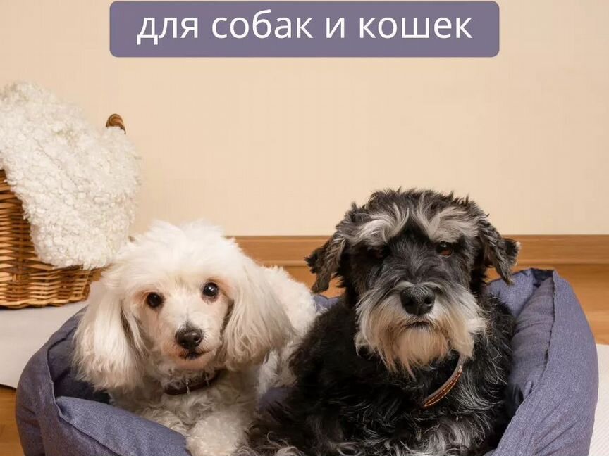 Лежанка для собак и кошек 60*50, новая