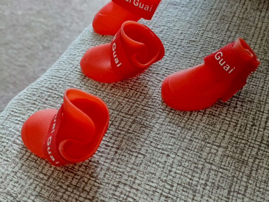 Обувь для собак