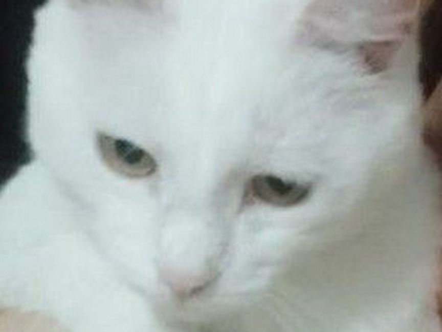 Без комментариев