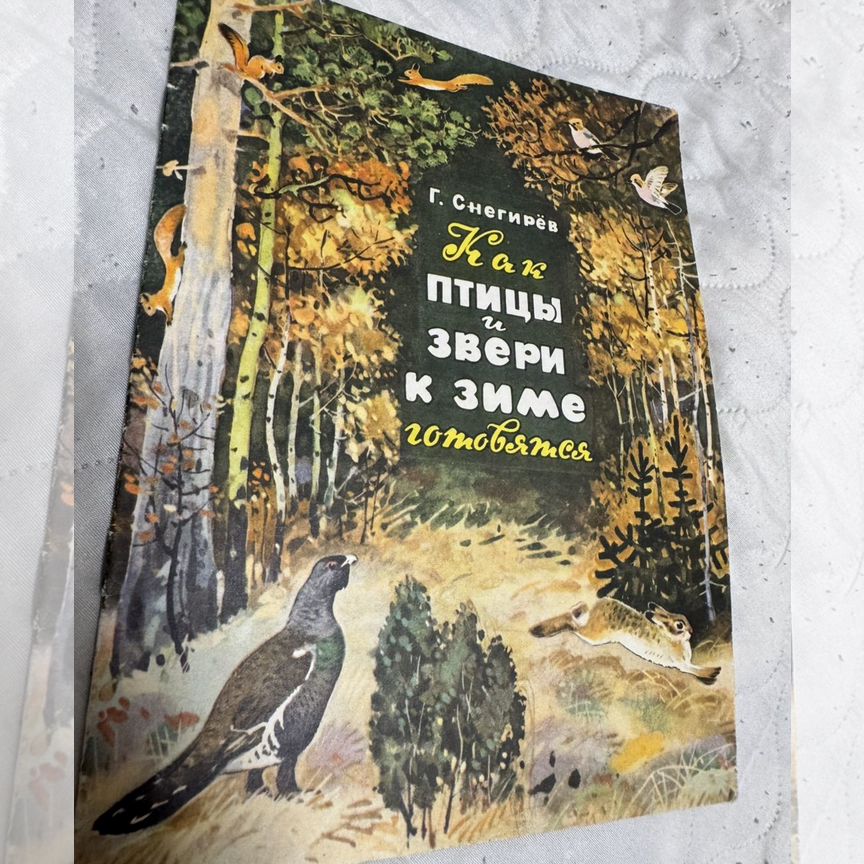 Как птицы к зиме готовятся