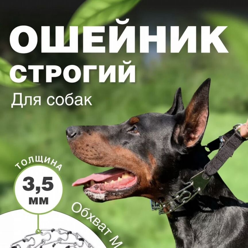 Ошейник строгач