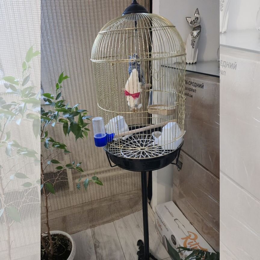 Клетка для попугая с подставкой