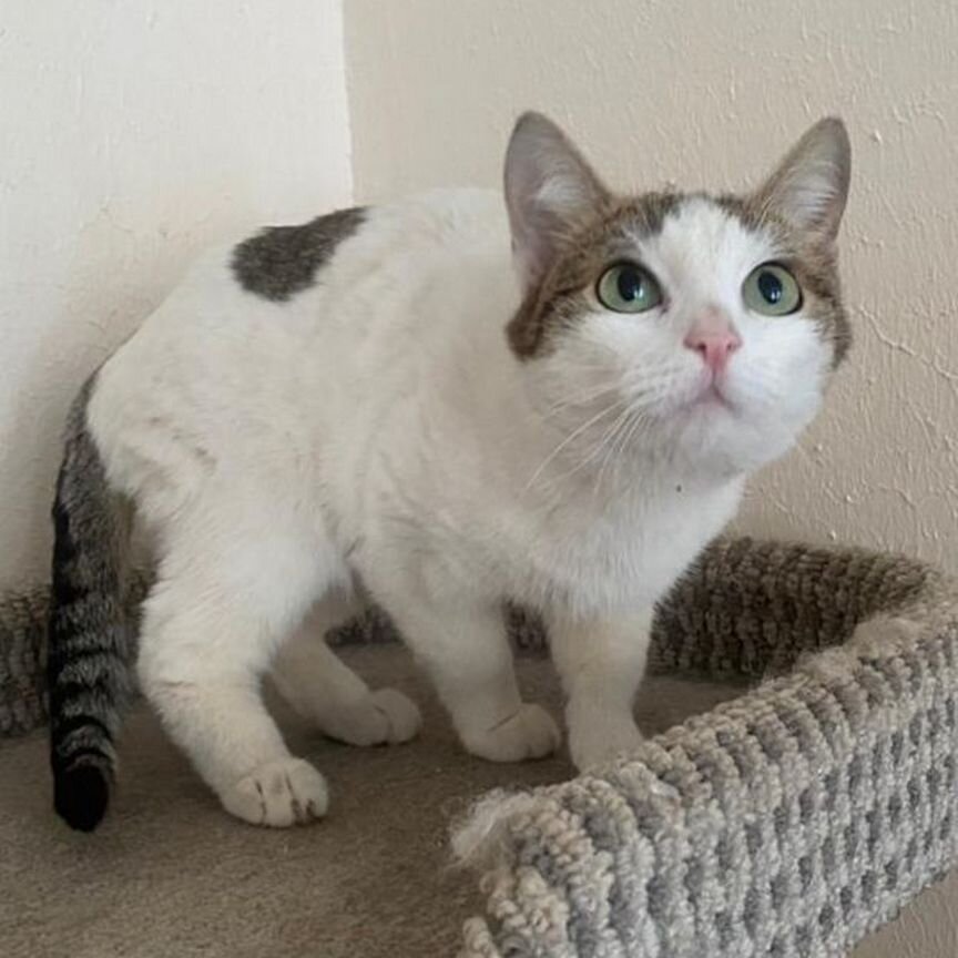 Юми и Семен ждут маму