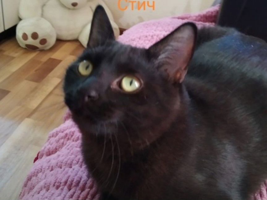 Он приехал издалека