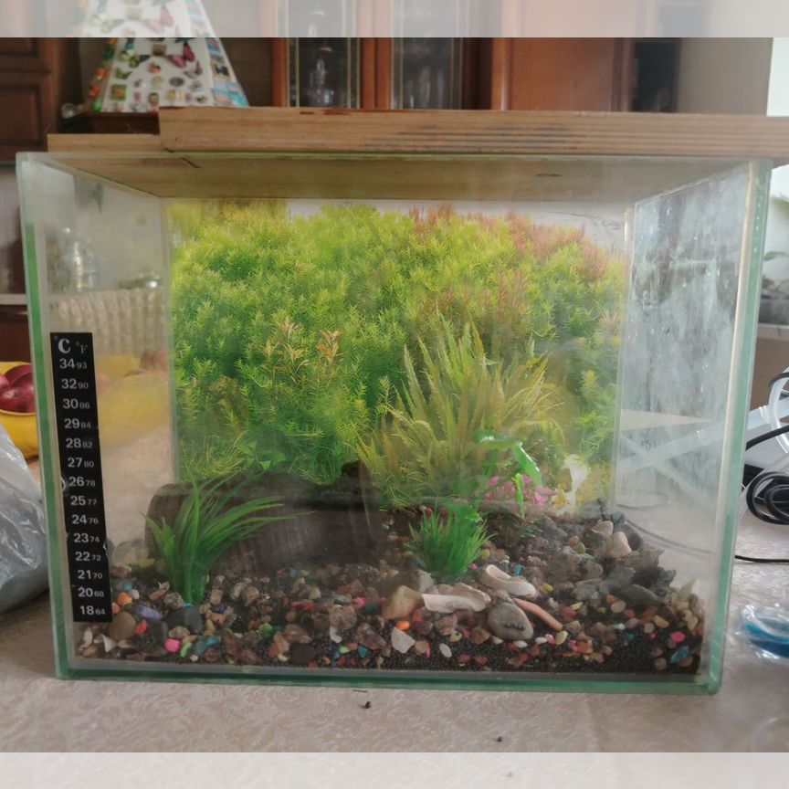 Аквариум на 15 литров