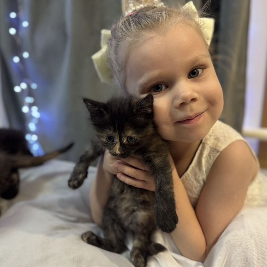 Котёнок в добрые руки