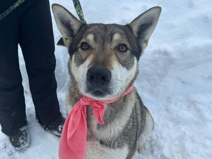 Красавица Тайра хочет стать любимой