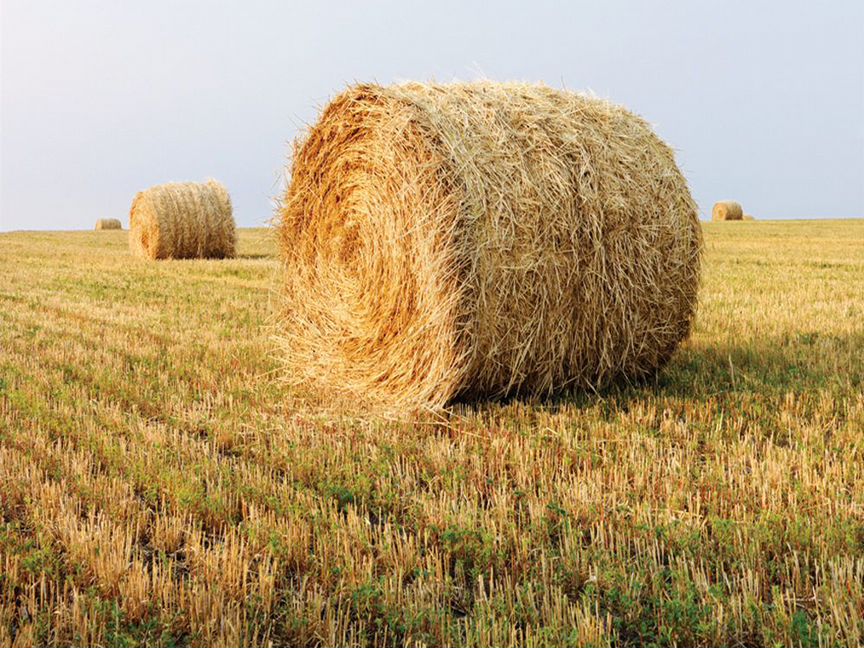 Продам солому